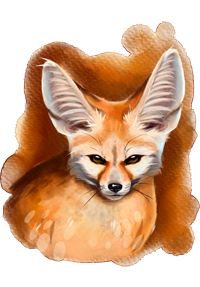 Fennec | Nature en jeux